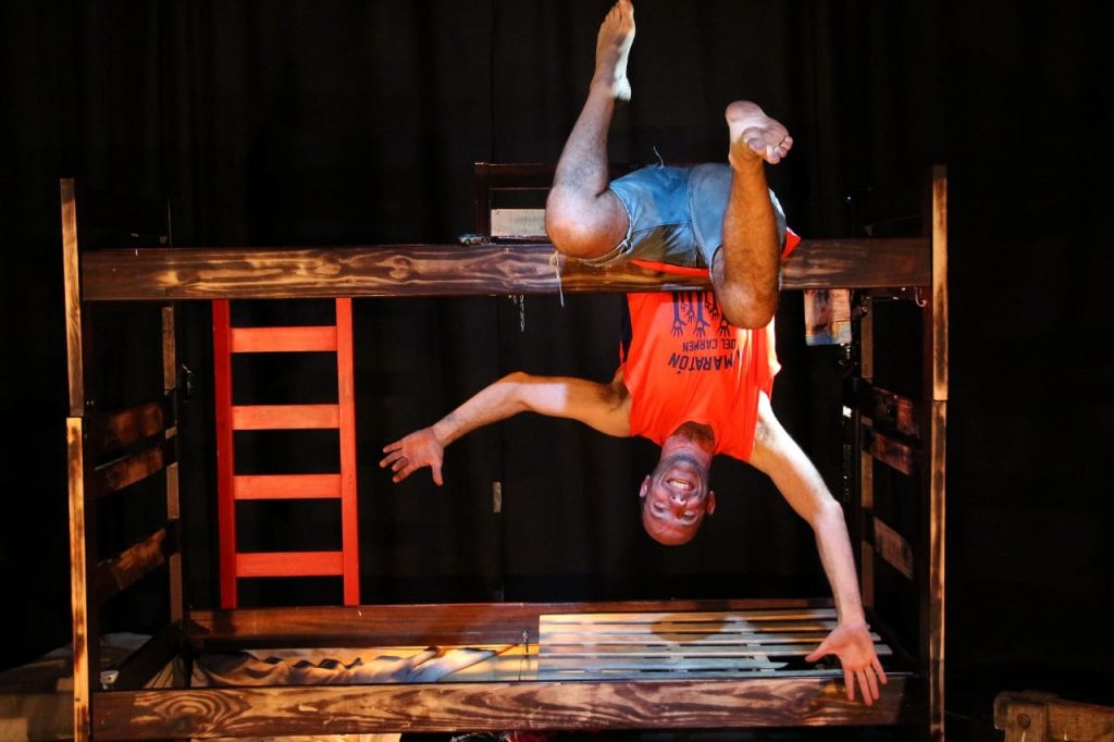 Como un león: una obra que se ve desde su cocina – El Diario Paraná